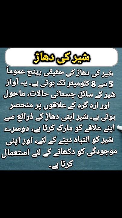 شیر کی دھاڑ کتنی خوفناک ہوتی ہے ؟ Youtube