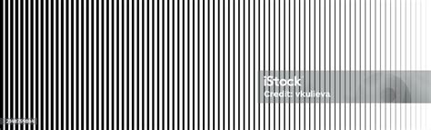 Thin Line Halftone Gradation Texture Faded Vertical Stripe Gradient Background Repeating Wide