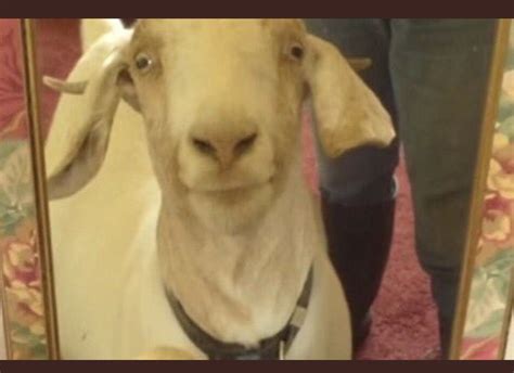 FS Edgey On Twitter POV You Re Clix Looking In The Mirror Https T Co MzHDdlawf Twitter