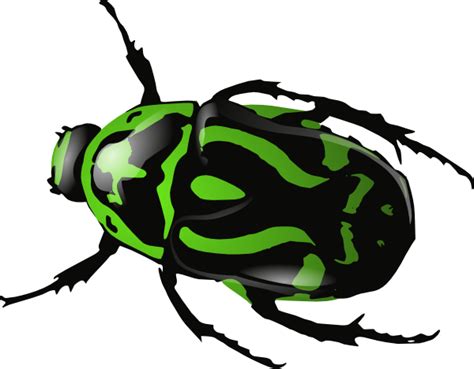 Free Dead Bug Cliparts Download Free Dead Bug Cliparts Png Images