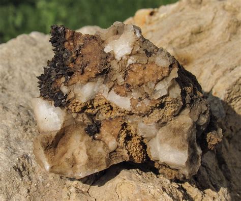 Goethite Pseudomorphs After Marcasite With Calcite Etsy