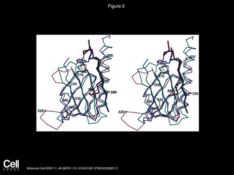 Structural Determinants Of Integrin Recognition By Talin Ppt Download