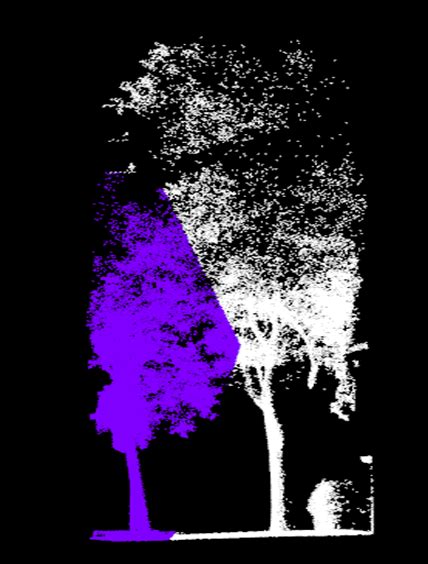 Point Cloud Full Supervised Labeling And Weak Supervised Labeling Process · Lidar360mls User Guide