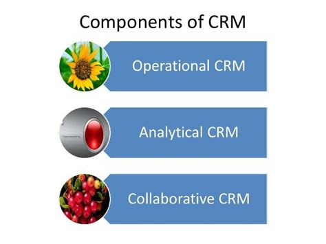Operational Analytical And Collaborative Crm