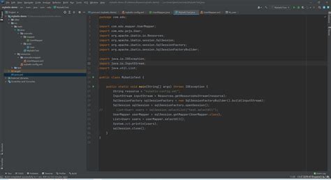 mybatis入门教程 csdn博客