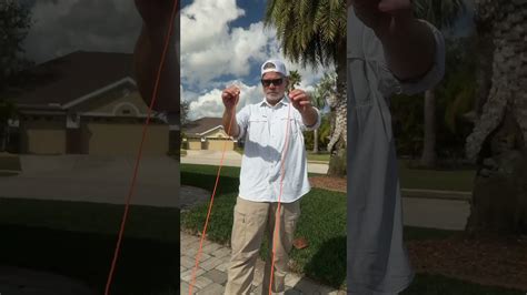 New For 2025 Ego Power Plus 17 Multi Head String Trimmer With