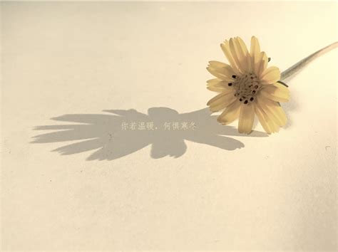 Mybatis 批量插入数据 Foreach 知乎 Mybatis 批量插入数据 Foreach 知乎
