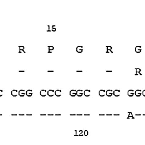 sequence alignment of exons 2 and 3 of hla‐a 02 877 with the sequence