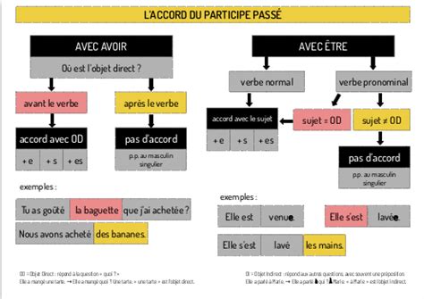 Laccord Du Participe Passé Tout En FranÇais