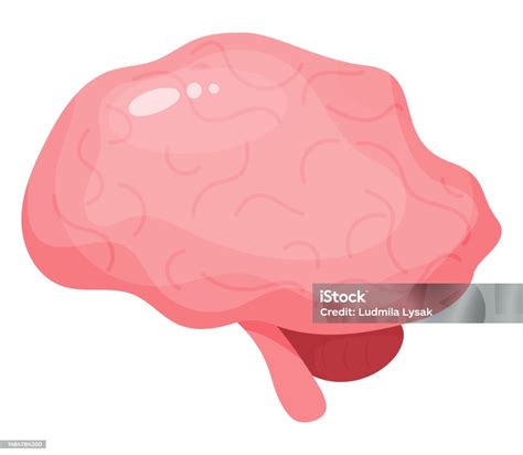 뇌 인간 장기 중추 신경계 평면 만화 스타일의 벡터 그림입니다 건강관리와 의술에 대한 스톡 벡터 아트 및 기타 이미지 건강관리와 의술 건강한 생활방식 경외감 Istock
