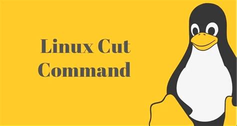 Awk Command In Linux The Awk Command In Linux Is A Powerful… By Harsh Hatej Apr 2024 Medium