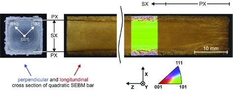 Optical Micrographs Taken From Perpendicular And Longitudinal Cross