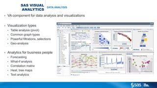 SAS Visual Analytics PDF