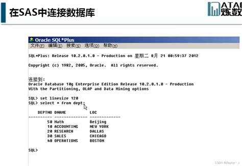 sas学习4（常用过程步sort、format、print、连接数据库、sql过程） sas sort csdn博客