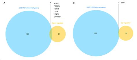 Identification Of Aberrantly Methylated Differentially Expressed Download Scientific Diagram