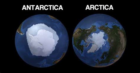 Care Este Diferenţa Dintre Arctica şi Antarctica