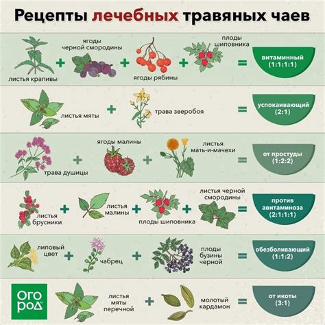 Одноклассники | Целебные травы, Трава, Траволечение