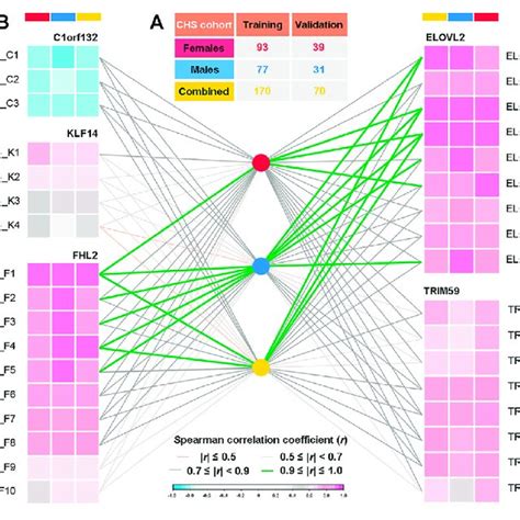 Spearman Correlation Analyses Between Dna Methylation Levels Of 34 Download Scientific