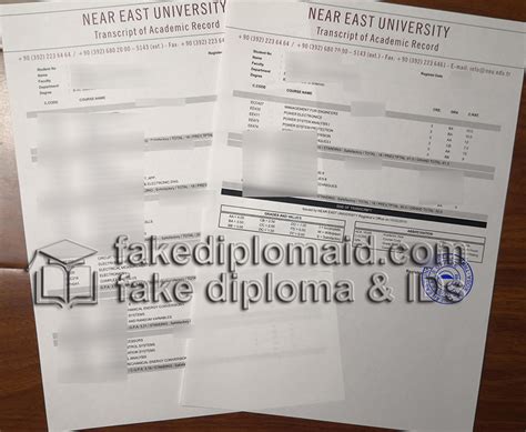 Fake NEU babe transcript YDÜ transcript of academic record