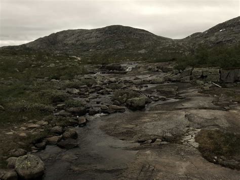 무료 사진 강둑 스트림 자연 강 잎 물 숲 트리 풍경 플로 라