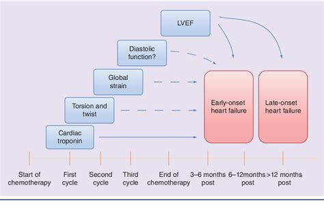 Figure 1 From Should The Echo Guidelines Be Followed In Cancer Patients Semantic Scholar