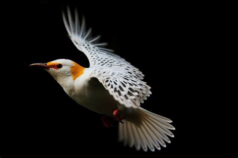 Premium Ai Image A Bird In Midflight With Its Wings In An Sshap
