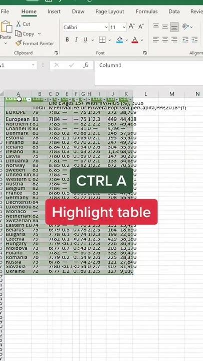 👩‍🏫 Shortcuts To Adjust Rows And Columns In Seconds Shorts Excel Youtube