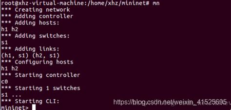 mininet基本使用与操作方法 mininet上对h1的操作 csdn博客