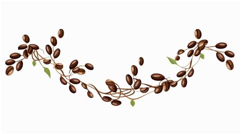 Los Granos De Café Circulares En Las Ramas Para Diseños Creativos