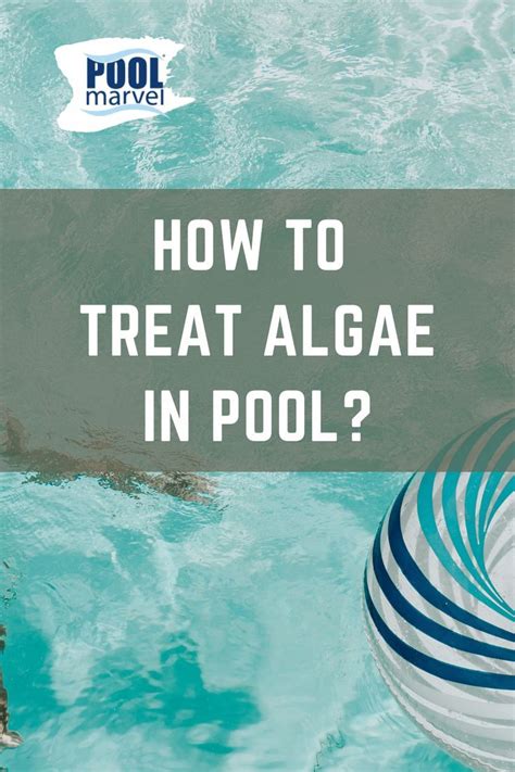 Is Swimming Pool Algae Dangerous Pool Algae Types Safety Artofit