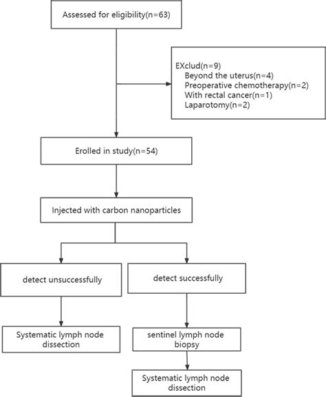 Flowchart Of Carbon Nanoparticles Applied To Sentinel Lymph Node