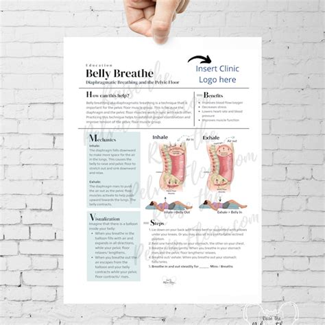 Pelvic Floor Handout Etsy