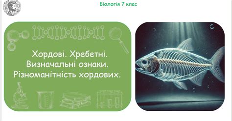 Презентація конспект уроку та робочі аркуші на тему Хордові Хребетні Визначальні ознаки