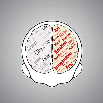 Human Left And Right Brain Cartoon Intellect Nervous Hemispheres Vector