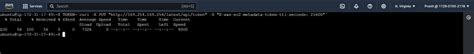 How To Get An AWS EC2 Instance ID From Within That EC2 Instance