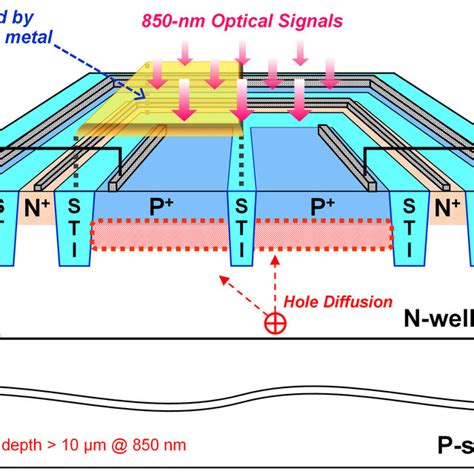 Structure Of The Fabricated Sm Apd Download Scientific Diagram