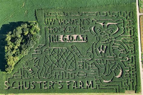 Farm Corn Maze