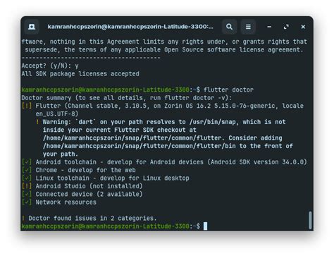 Flutter Doctor Ubuntu Zorin Os Summary Shows The Problem Dart Path Consider Adding To Front Of