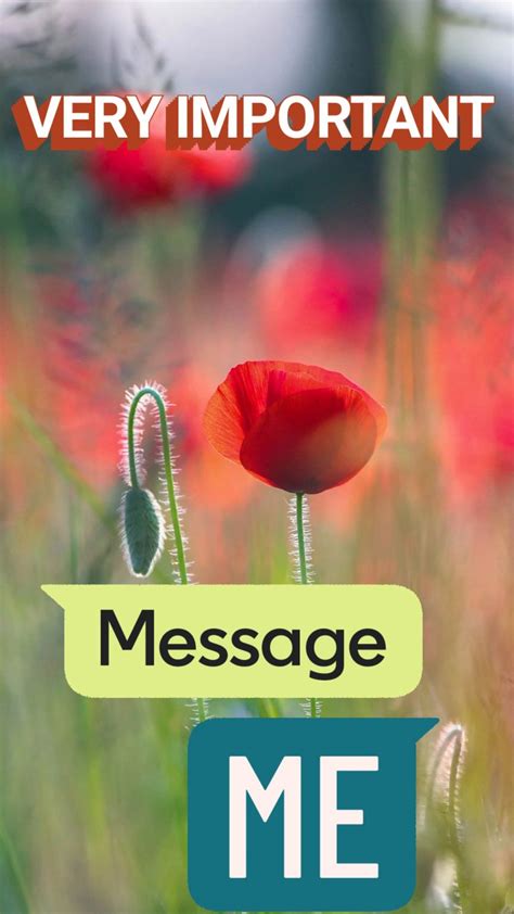 Mohsen Taheri On Linkedin Hello Everyone 🌹 Dear Friends And