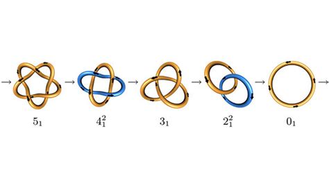 Untangling Dna With Knot Theory Siam