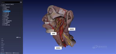 医知苑 3d医学（人体解剖学、形态学）数字化教学平台