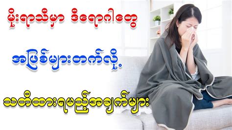 မိုးရာသီမှာ အဖြစ်များတဲ့ရောဂါတွေအတွက် အထူးသတိထားရမည့်အချက်များ Youtube