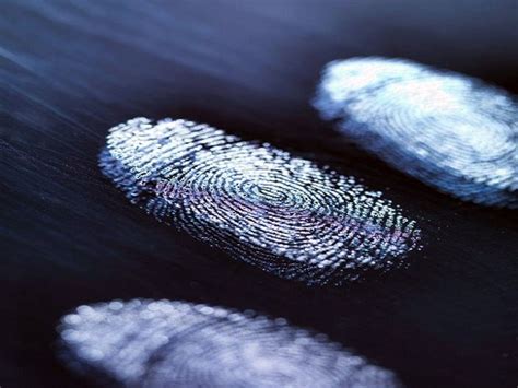 بصمات الأصابع الفريدة موقع مجلة حراء، مجلة علمية فكرية أدبية ثقافية