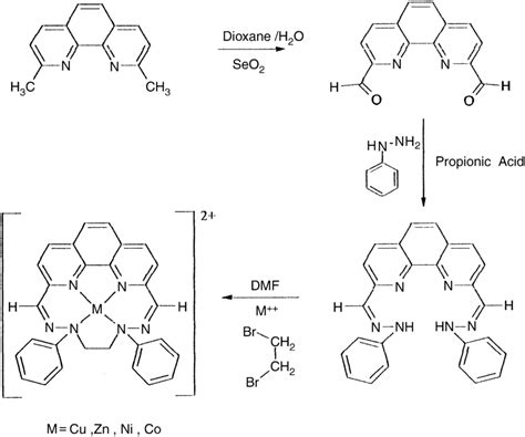 Synthesis Scheme And Molecular Diagram Of The Download Scientific Diagram