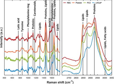 Raman Spectra Of Ev Subtypes The Curves Are Normalized Using Feature