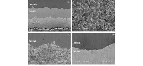Microstructure Of The Coating System In The As Sprayed State A A