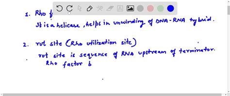 Solved A Bacterial Mrna Molecule Contains A Stem Loop Structure Followed By A Stretch Of U