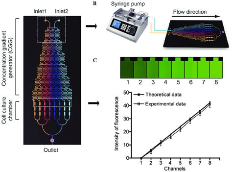 Microfluidic Device Design And Cgg Performance Validation A The