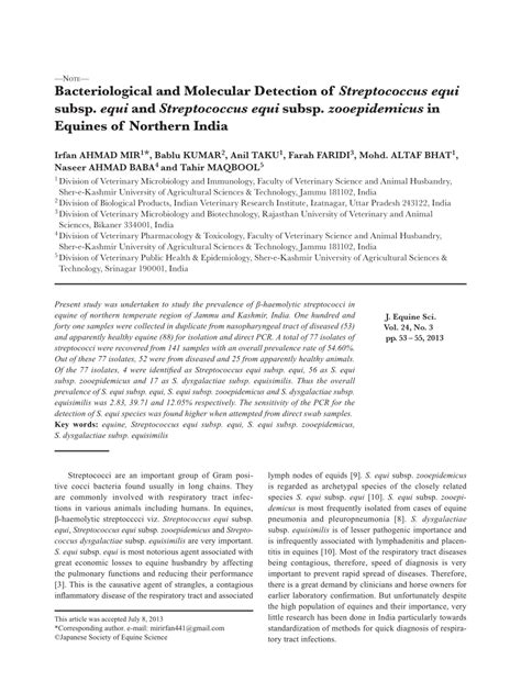 Pdf Bacteriological And Molecular Detection Of Streptococcus Equi Subsp Equi And