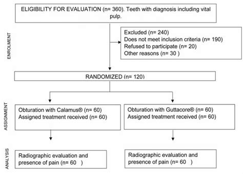 Distribution And Randomization Of The Groups Download Scientific Diagram